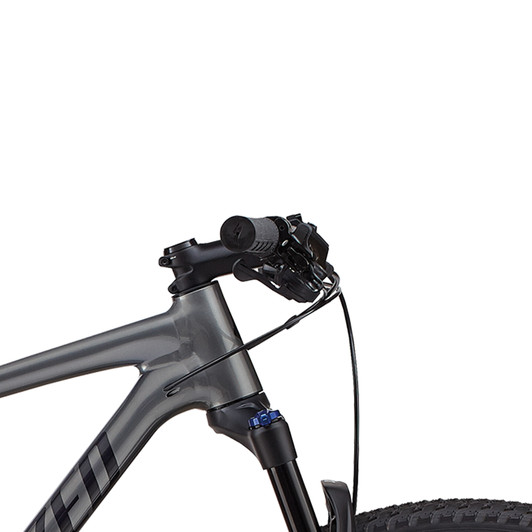 Specialized Chisel Comp Mountain Bike 2018 | Sigma Sports