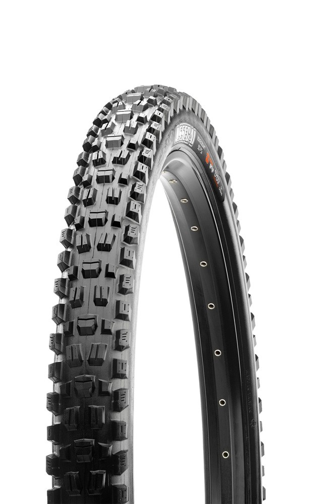 Maxxis Assegai 120 TPI Foldable 3C MaxxTerra EXO/TR MTB Tyre | Sigma Sports